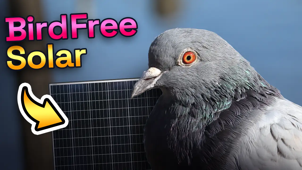 Bird Proofing Solar Panels - How? - Your Energy Answers