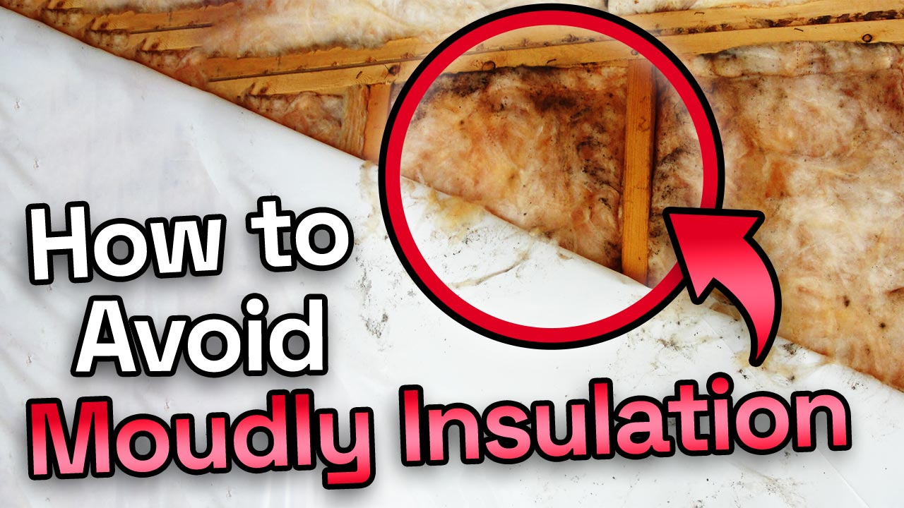 Can my insulation get mouldy? - Your Energy Answers