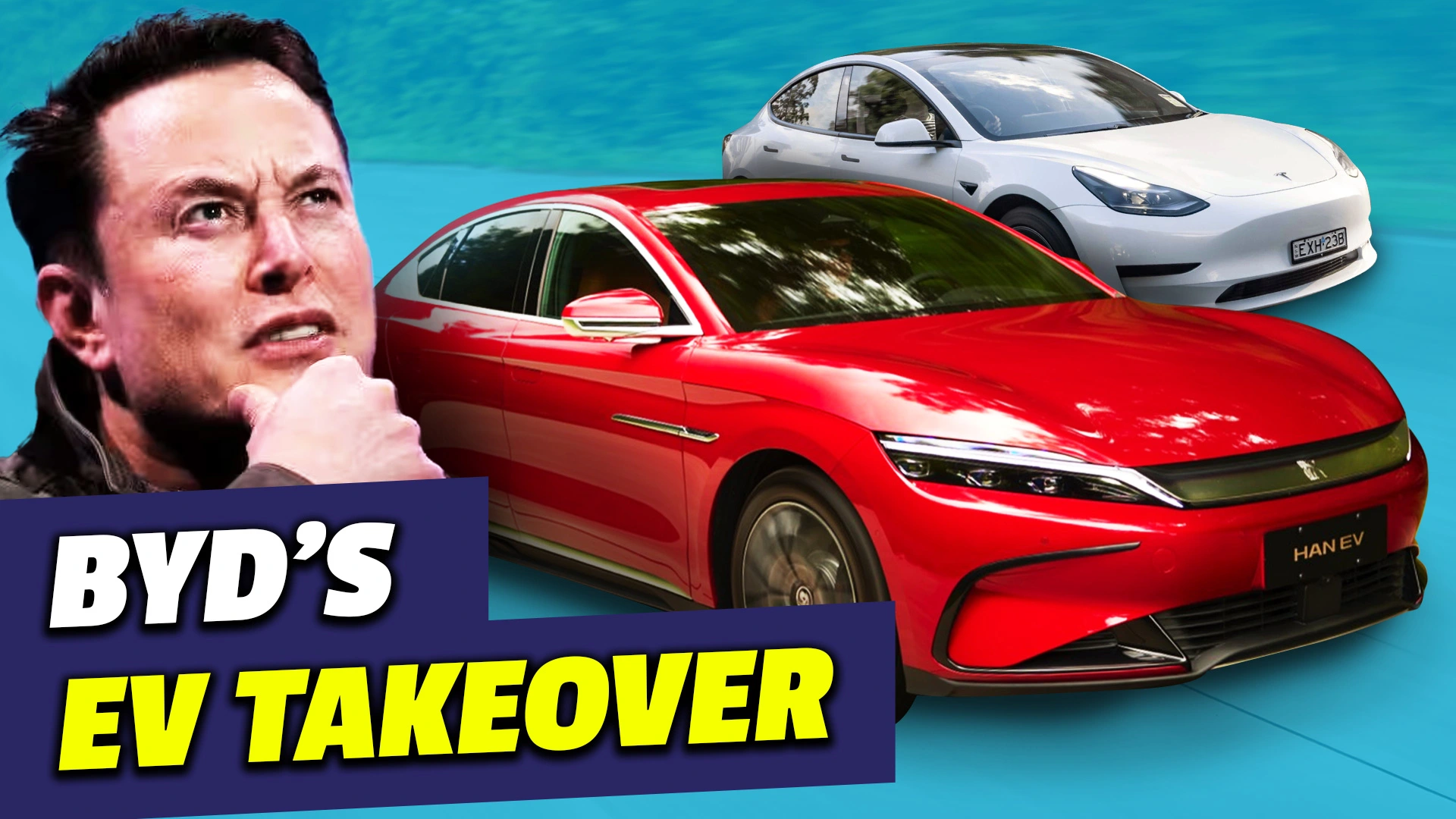 BYD - The future of EVs? - Your Energy Answers