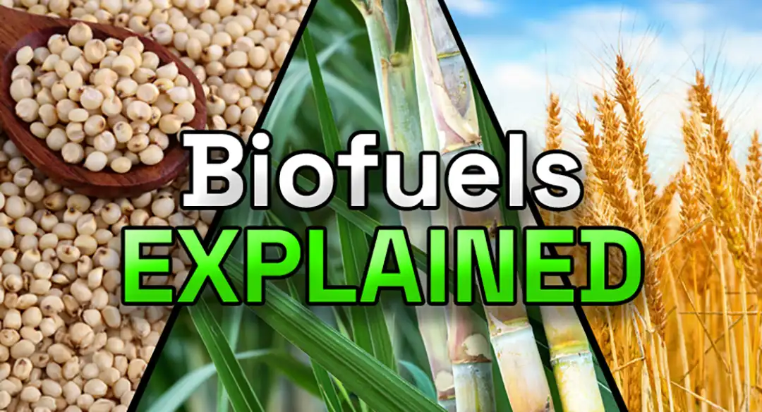 What Are Biofuels in Australia? - Your Energy Answers